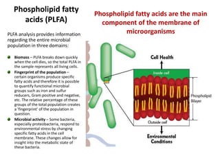 Biological_Crust_English.ppt