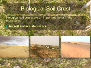 Biological_Crust_English.ppt