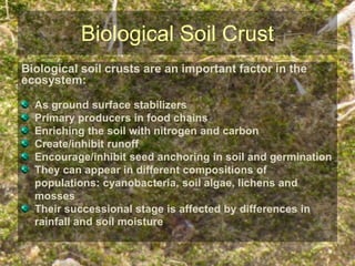 Biological_Crust_English.ppt