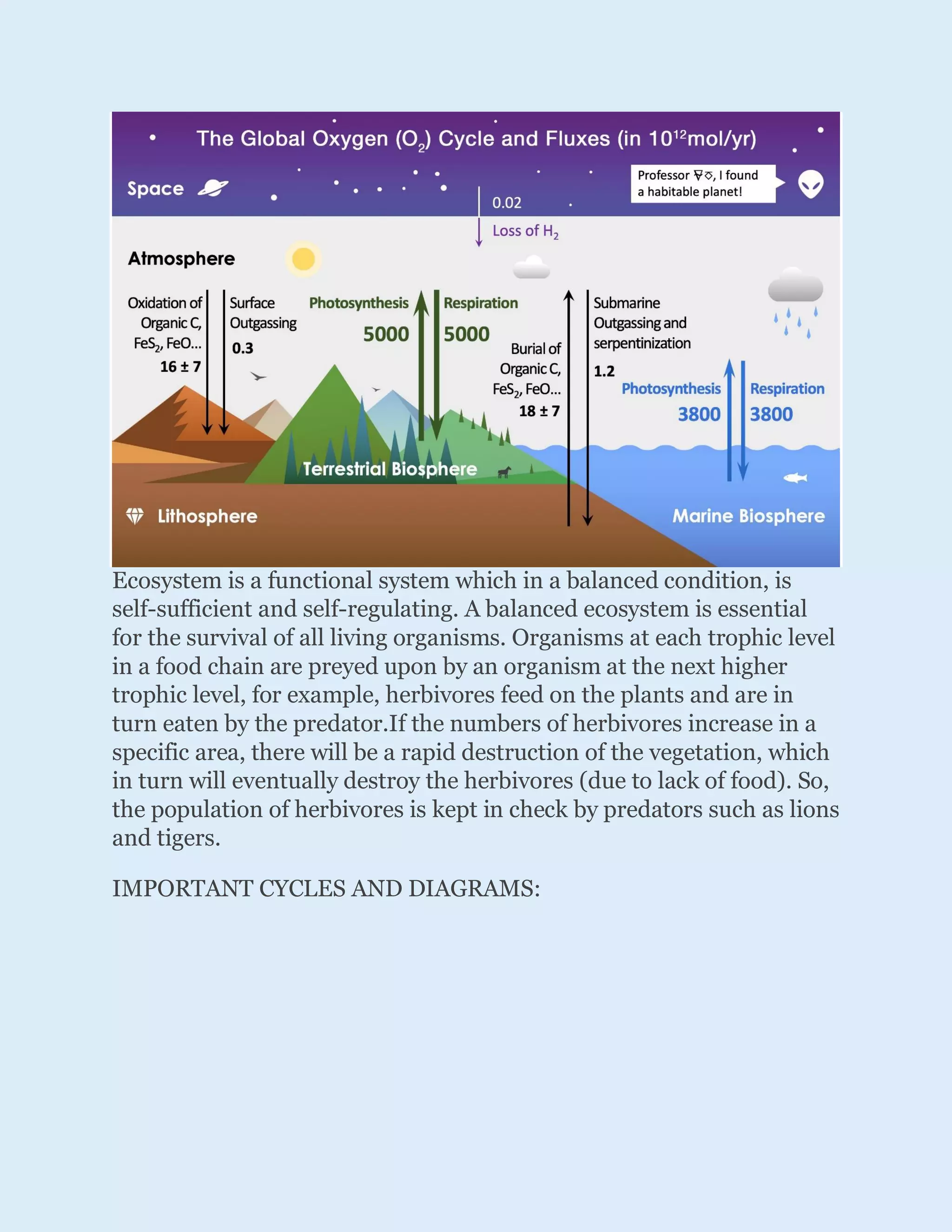 Biological cycles | PDF