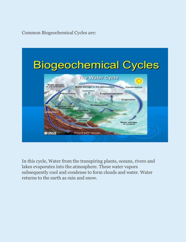 Biological cycles | PDF