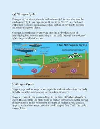 Biological cycles | PDF