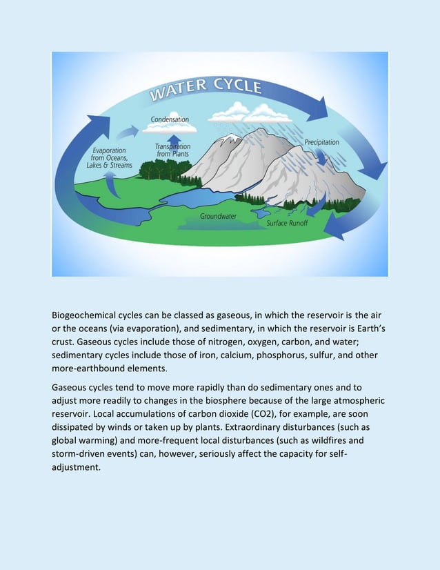 Biological cycles | PDF