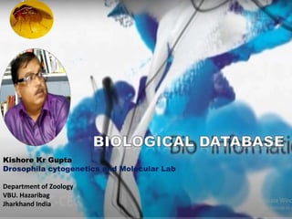 Biological data base | PPT