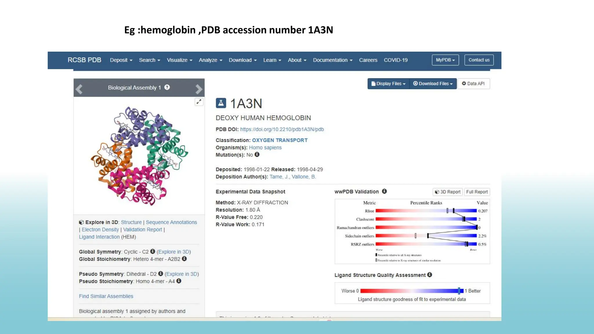 BIOLOGICAL DATABASE AND ITS TYPES,IMPORTANCE OF BIOLOGICAL DATABASE | PDF