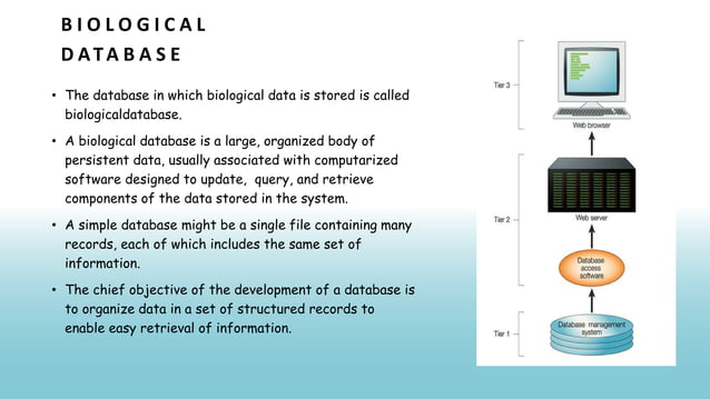 BIOLOGICAL DATABASE AND ITS TYPES,IMPORTANCE OF BIOLOGICAL DATABASE ...