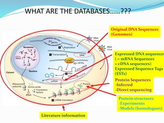 Biological database by kk sahu | PPTX