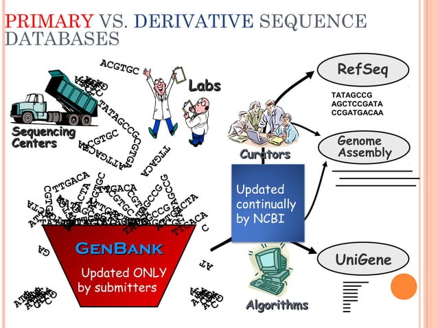 Biological databases | PPT