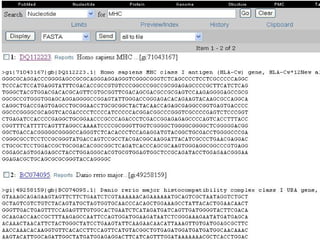 Biological Databases Ppt