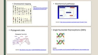 Biological databases | PPTX