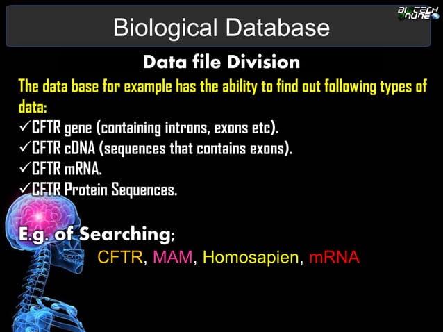 Biological databases | PPT