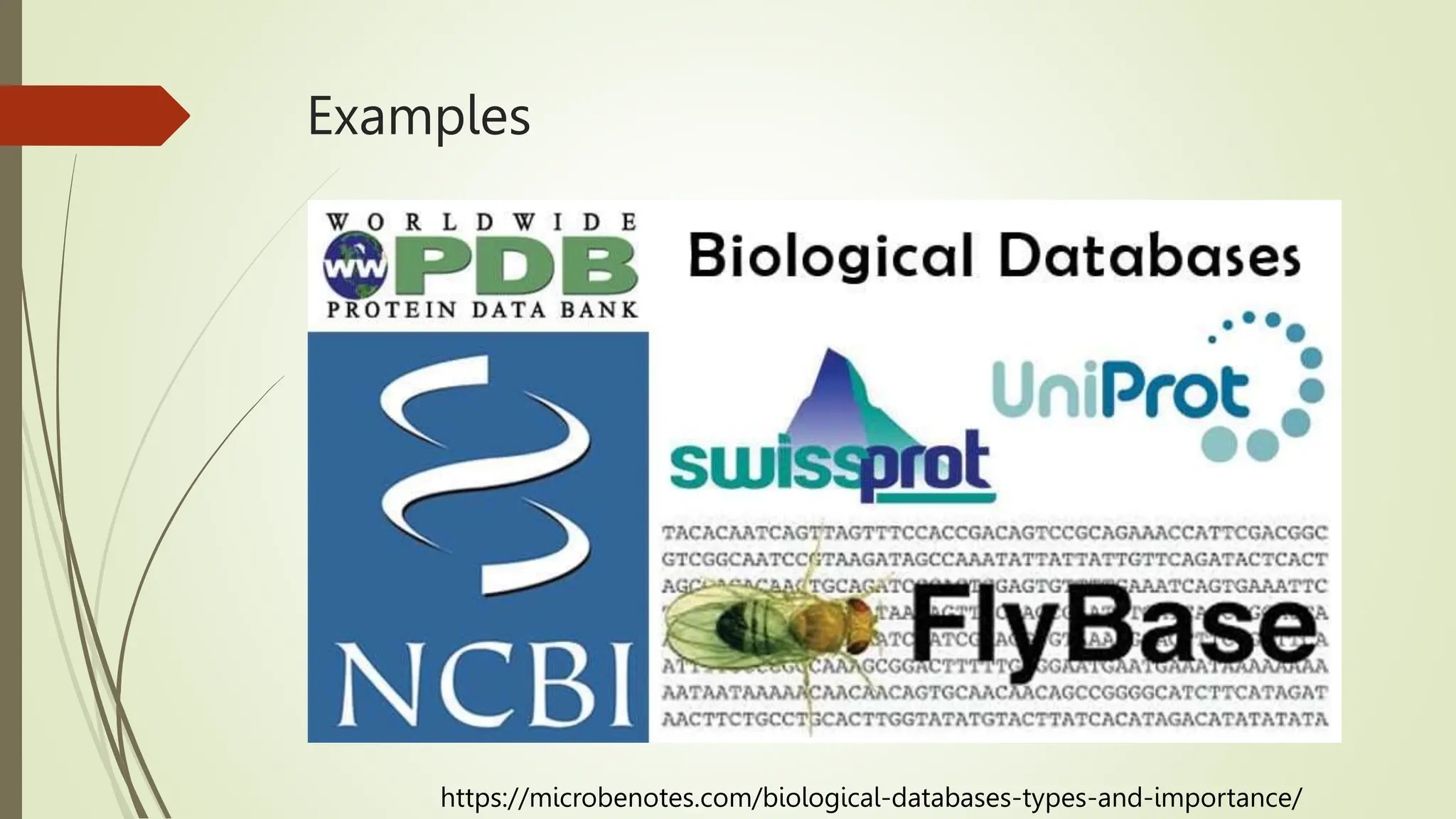 BiologicalDatabases_rsm_introtobioinformatics.pptx