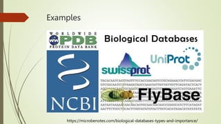 BiologicalDatabases_rsm_introtobioinformatics.pptx