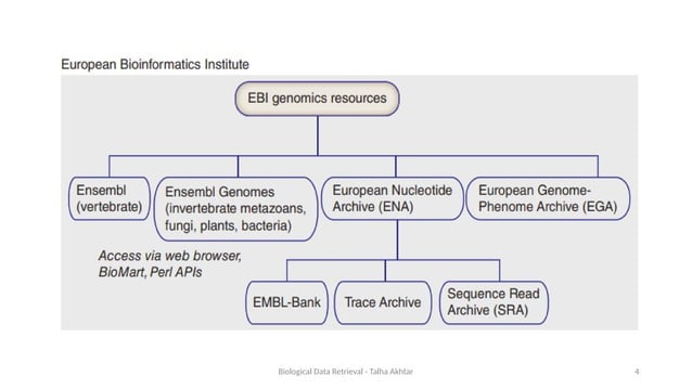 Biological Data Retr bioinformatics.pptx