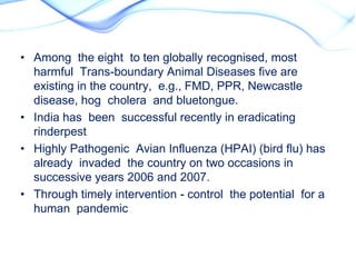 Biological disaster management | PDF