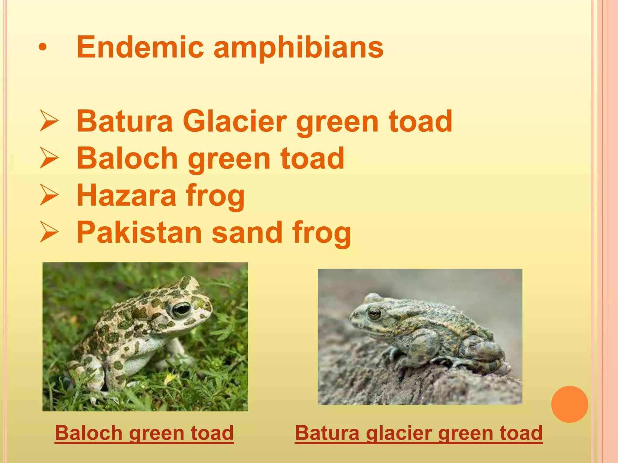 Biological diversity of pakistan | PPTX