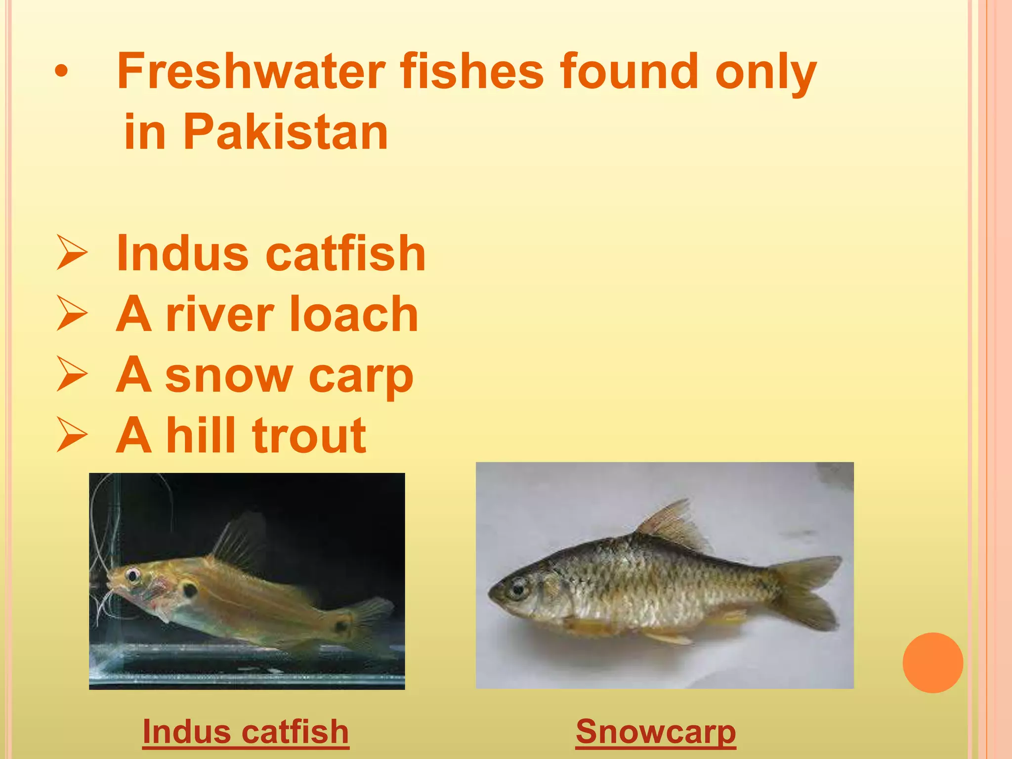 Biological diversity of pakistan | PPTX