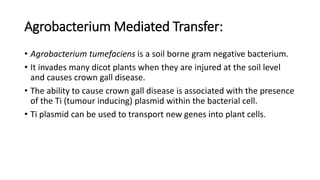 Biological dna transfer methods | PPT