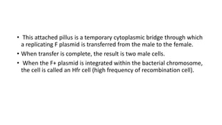 Biological dna transfer methods | PPT