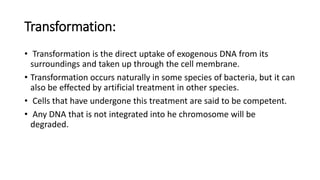 Biological dna transfer methods | PPT