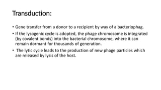 Biological dna transfer methods | PPT