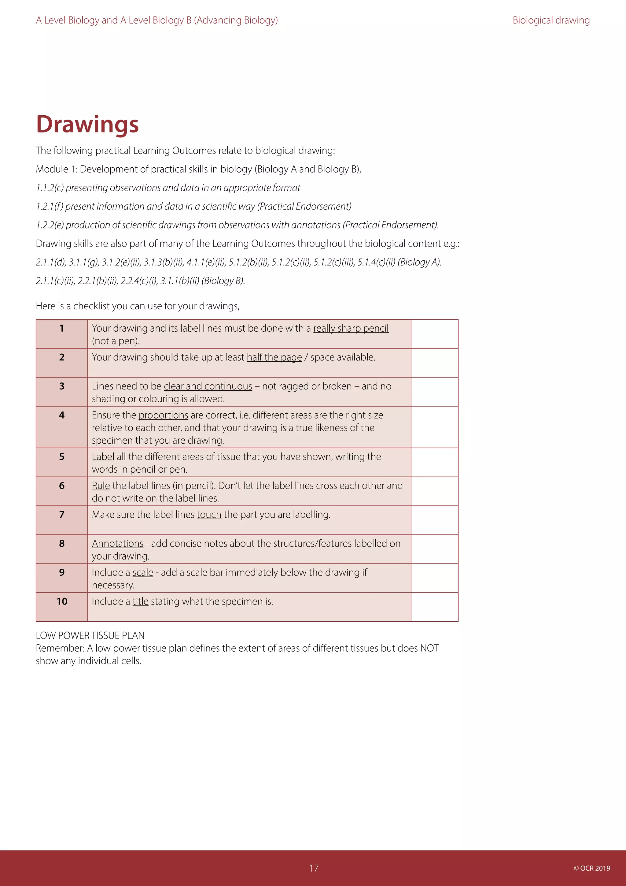 Biological drawing | PDF