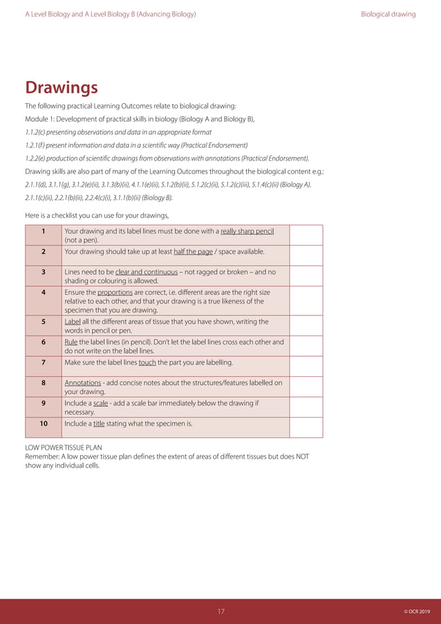 Biological drawing | PDF