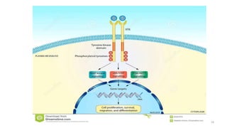 Biological drug targets.pptx