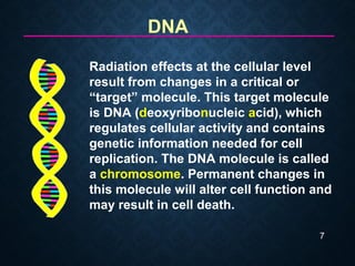 Biological effect of radiation and radiation safety | PPT