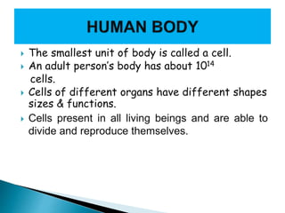 biological effect of radiation new.pptx | Cancer | Diseases and Conditions