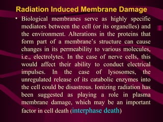 Biologicaleffectsofionizingradiation | PPT