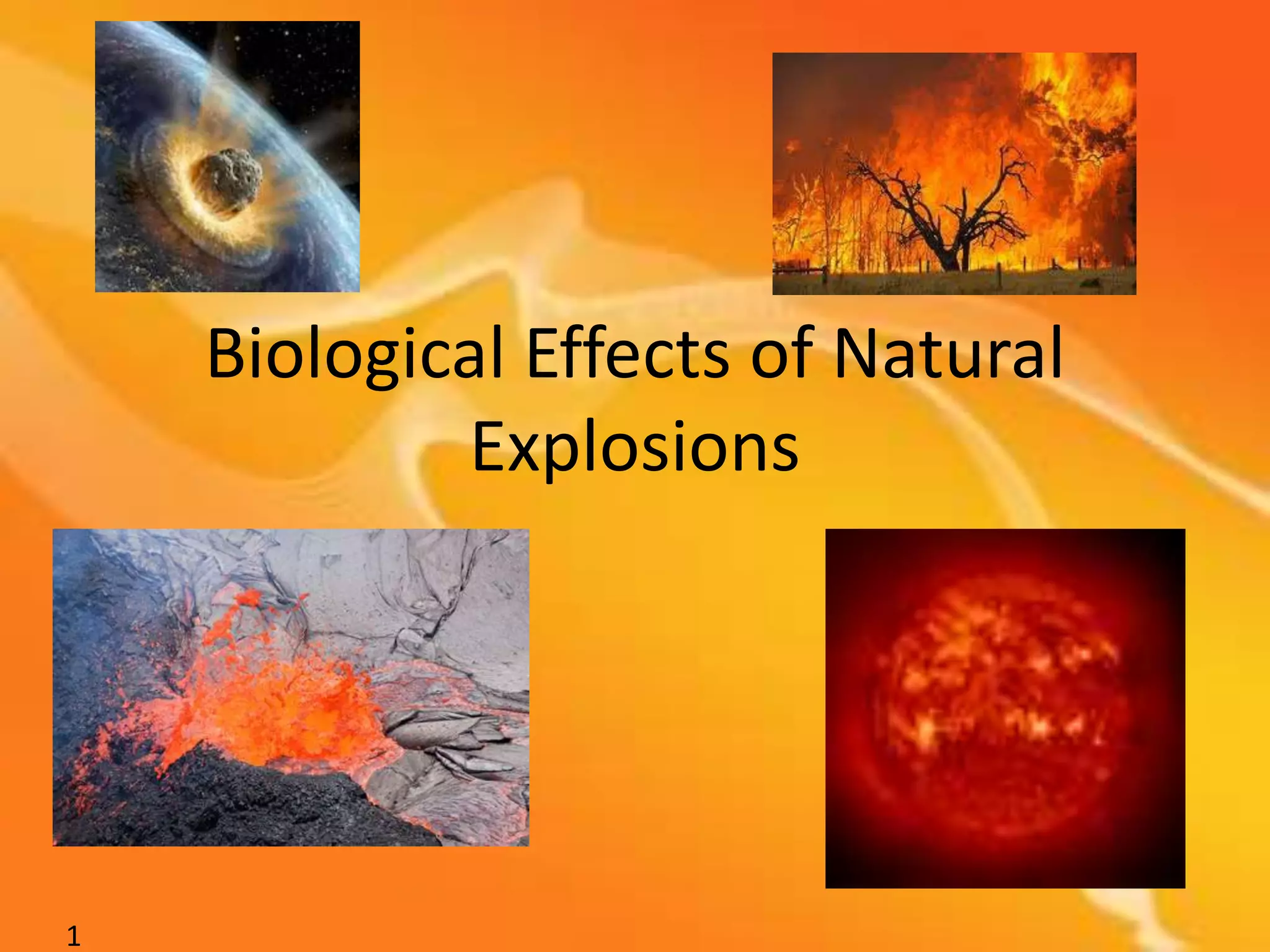 Biological effects of natural explosions | PPTX | Geography | Science