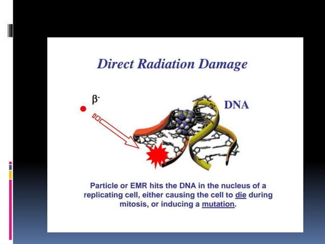 Biological effects of radiation | PPTX
