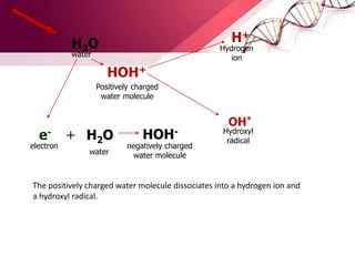 Biological effects of radiation | PPTX