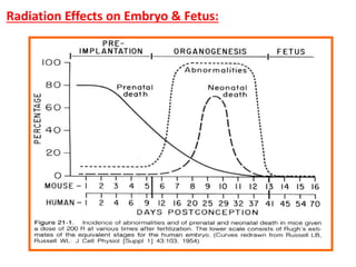 Biological effects of radiation | PPTX