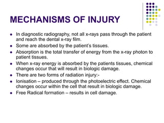BIOLOGICAL EFFECTS OF Radiation IN DENTISTRY. ppt.pdf