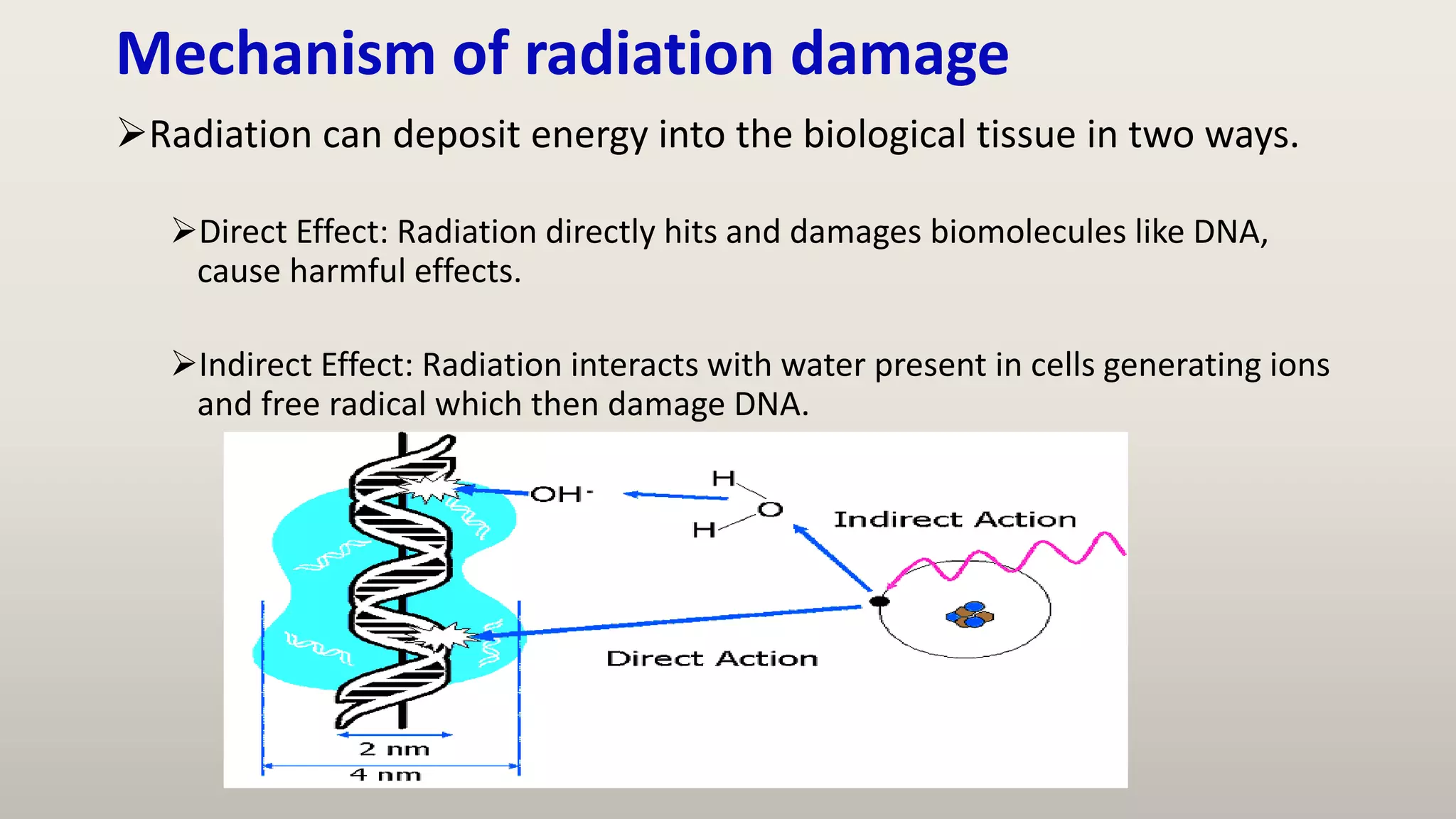 BIOLOGICAL EFFECTS OF RADIATION USHA YADAV.pptx