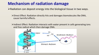 BIOLOGICAL EFFECTS OF RADIATION USHA YADAV.pptx