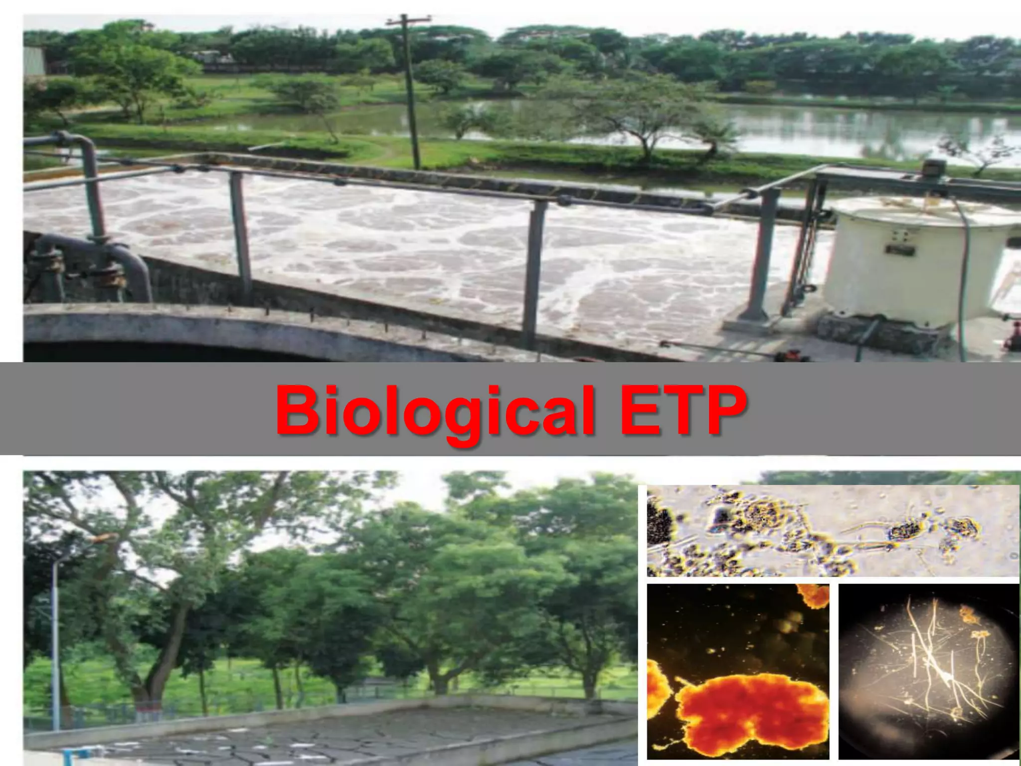 Biological ETP | PPTX