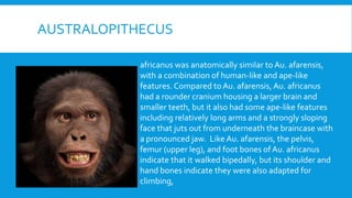 Biological evolution | PPTX