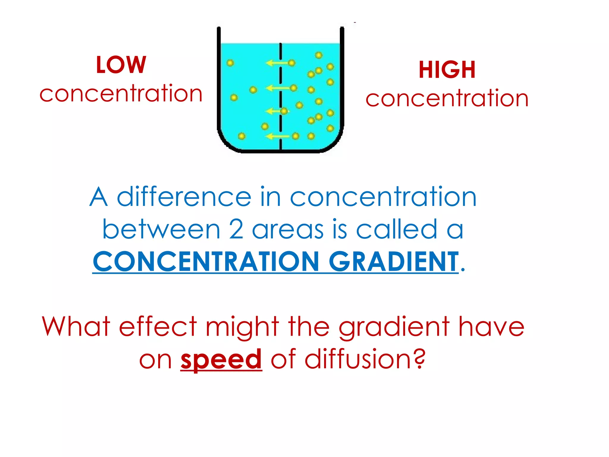 Biological examples of diffusion