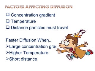 Biological examples of diffusion | PPT