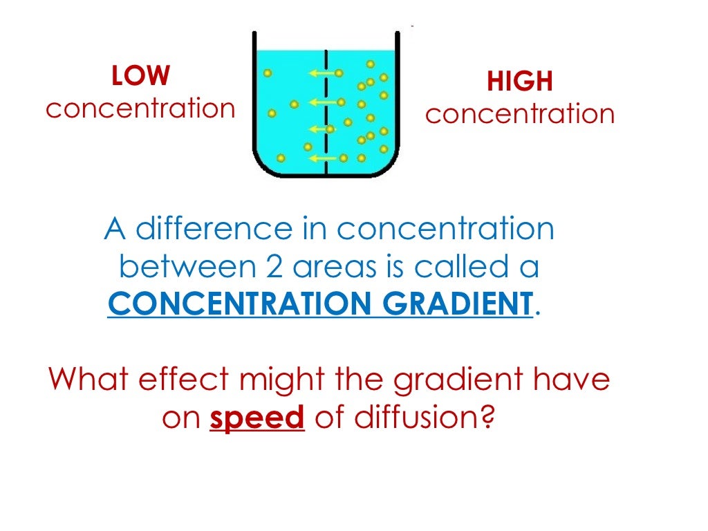 Biological examples of diffusion