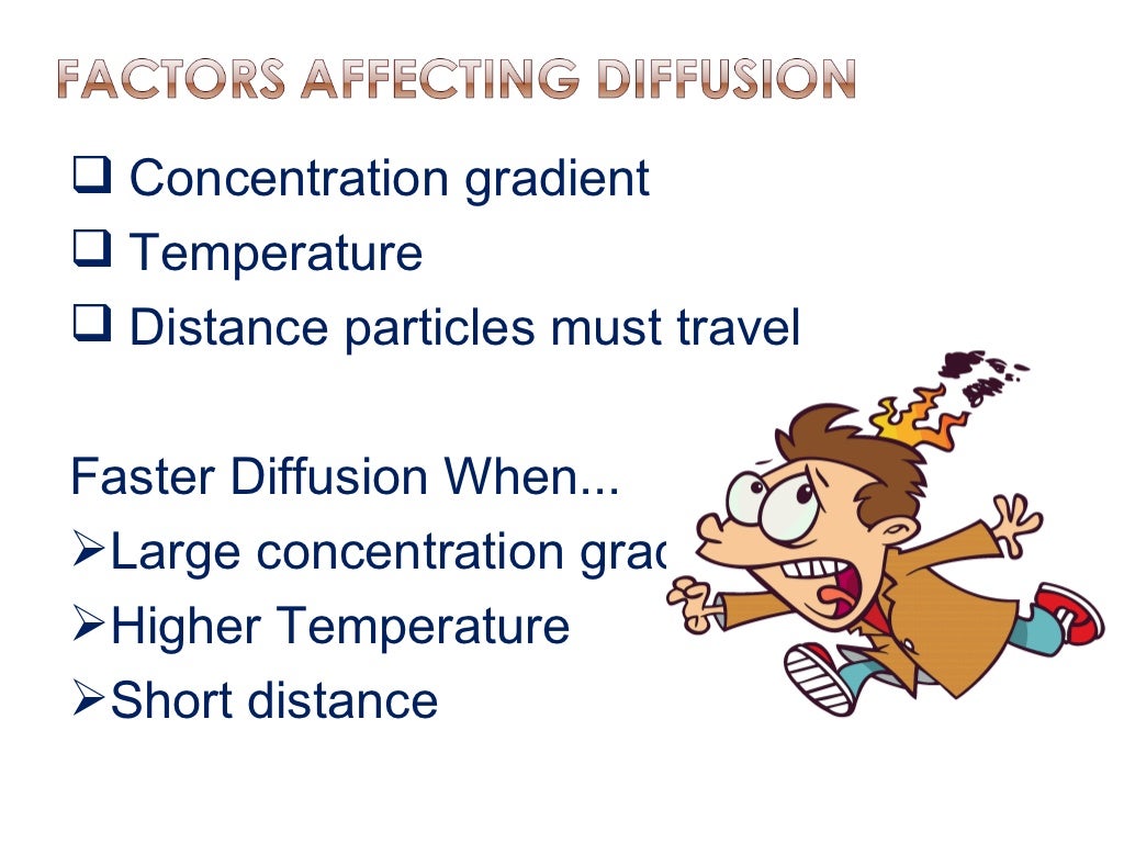 Biological examples of diffusion