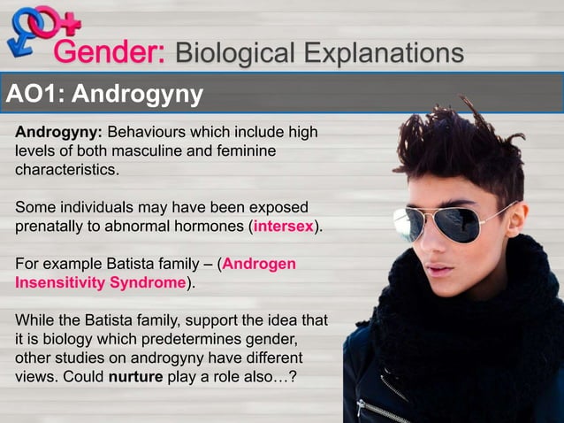 Biological explanation gender 1 Biological explanation gender 1