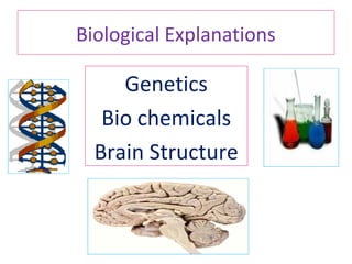 Biological explanations by S Laljee | PPT