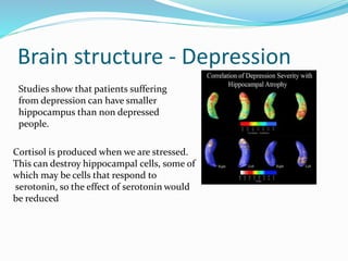 Biological explanations for depression and schizophrenia | PPTX