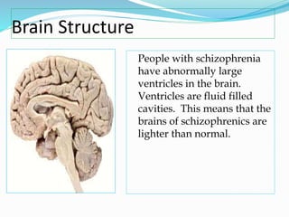 Biological explanations for depression and schizophrenia | PPTX