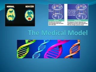 Biological explanations for depression and schizophrenia | PPTX