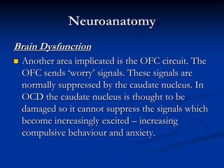 OCD Biological explanations A2 | PPTX